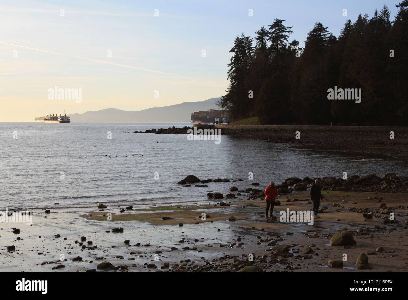 a photo of Stanley Park and English Bay Stock Photo - Alamy