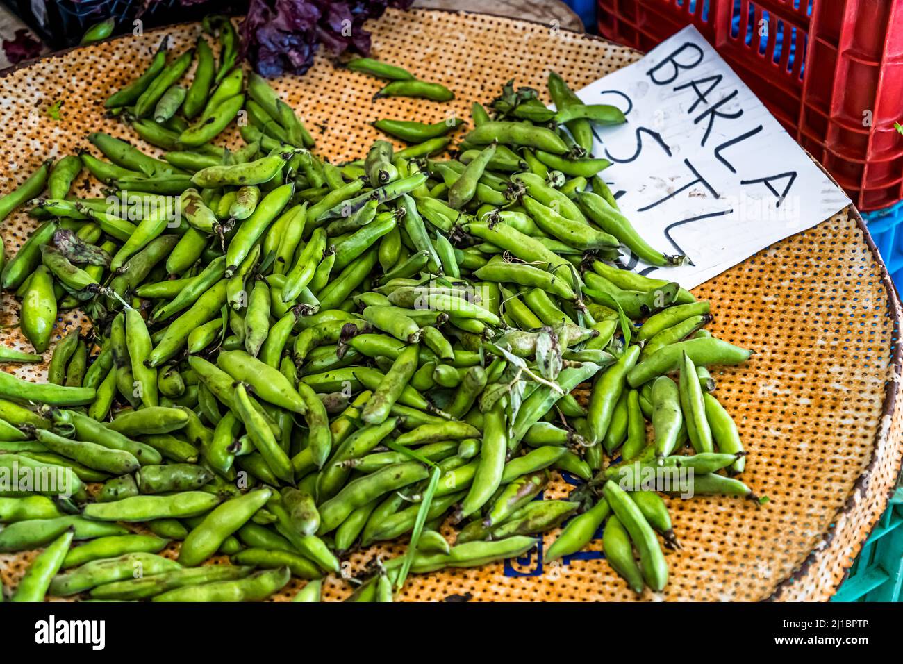 árbol natural hi-res stock photography and images - Alamy