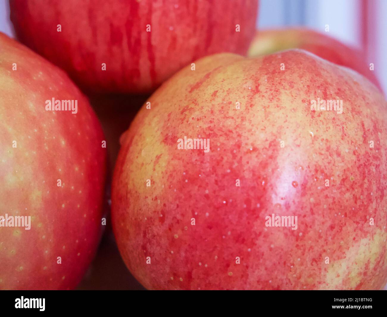 Several apples of the gala and Ligol varieties, a close-up shot Stock ...