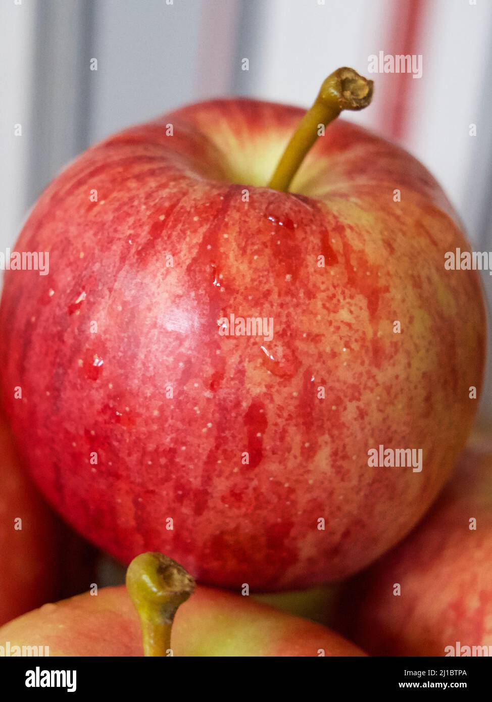 Ripe gala apples, a close-up shot. Apples whose peel is covered with ...