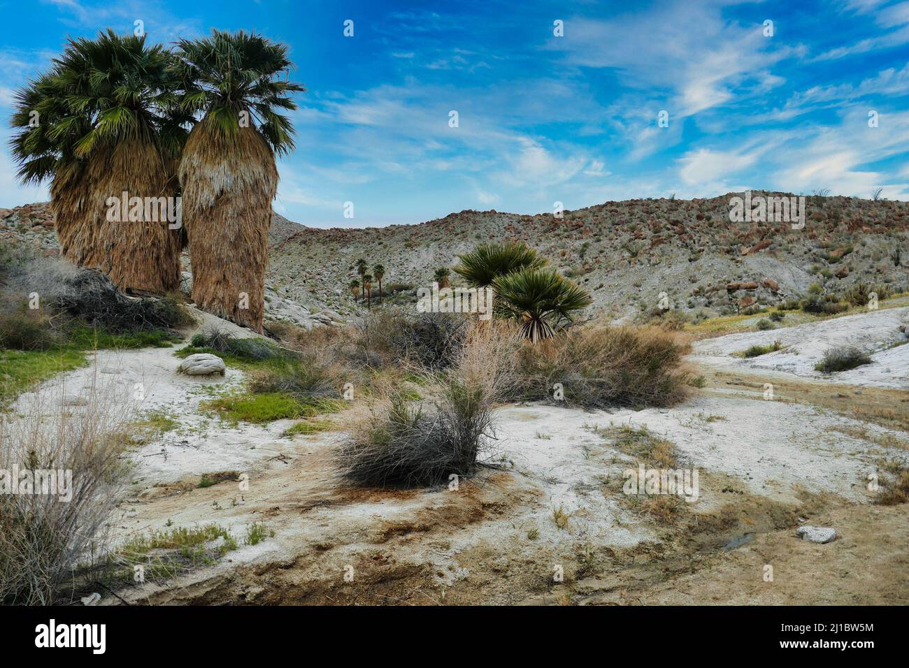 Hiking palm hi-res stock photography and images - Alamy