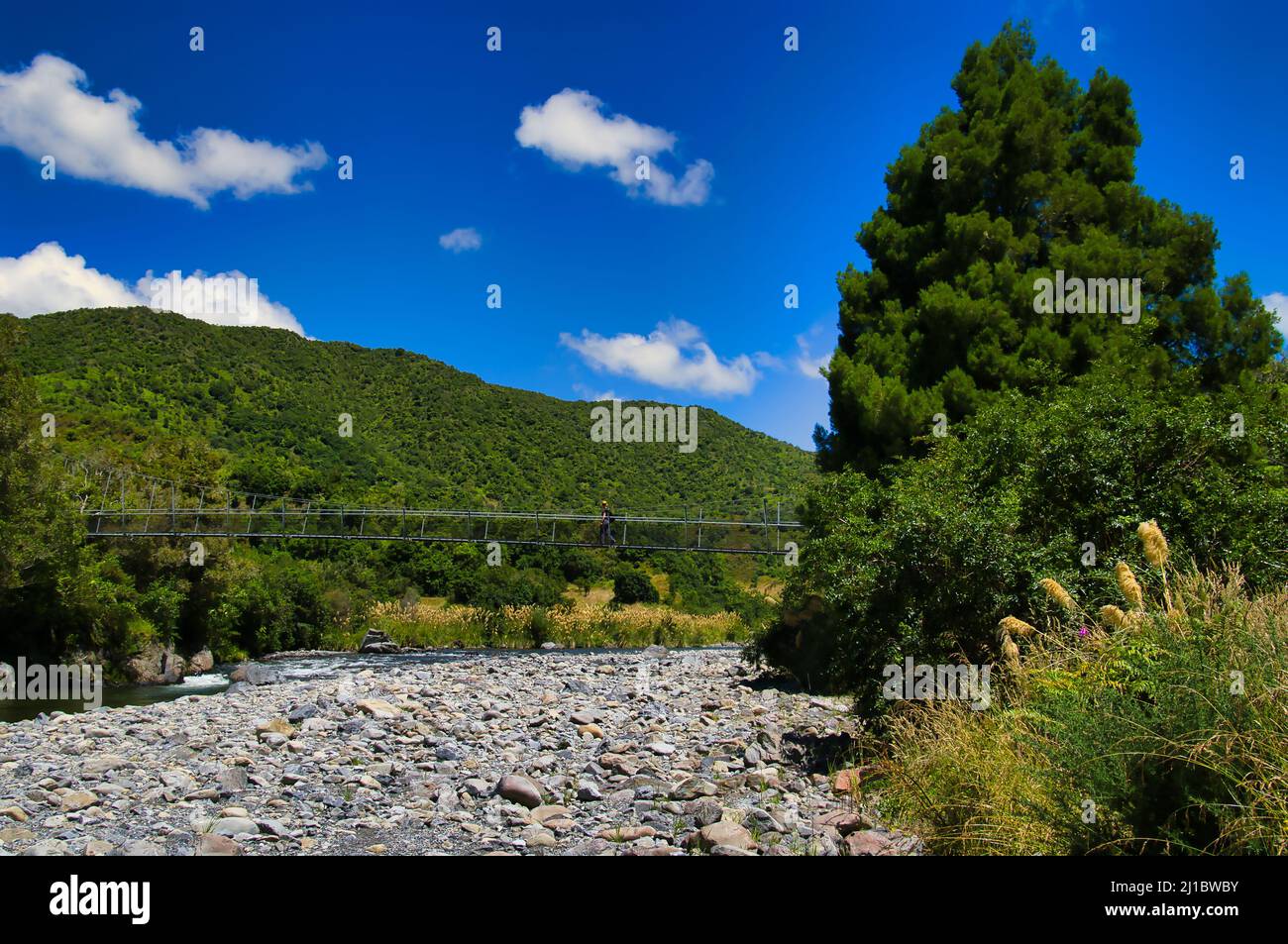 The Otaki Forks swingbridge over the Waiotauru River, on the west side ...