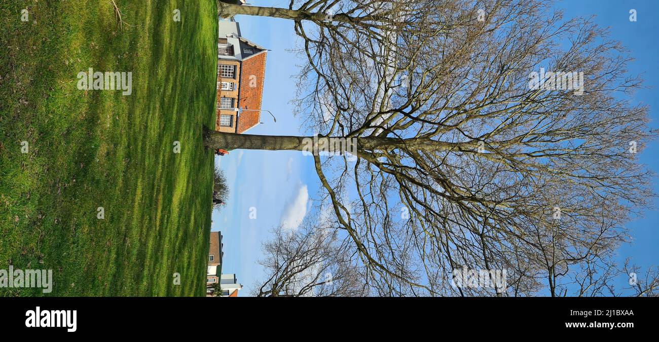 A closeup of a white house near the field Stock Photo - Alamy