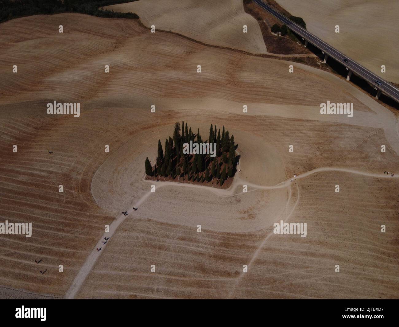 Tree birds eye view hi-res stock photography and images - Alamy