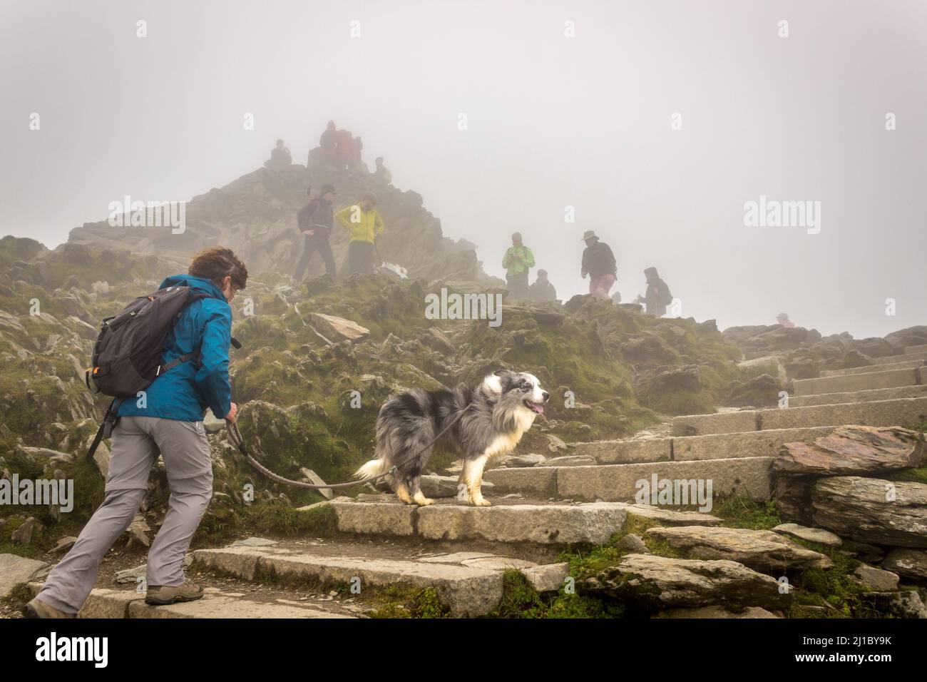 Woman and dog approaching Snowdon summit Stock Photo - Alamy