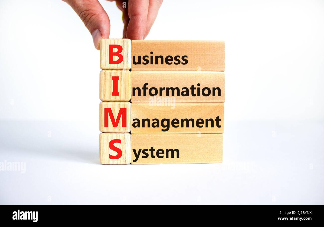 BIMS, Business information management system symbol. Concept words BIMS ...