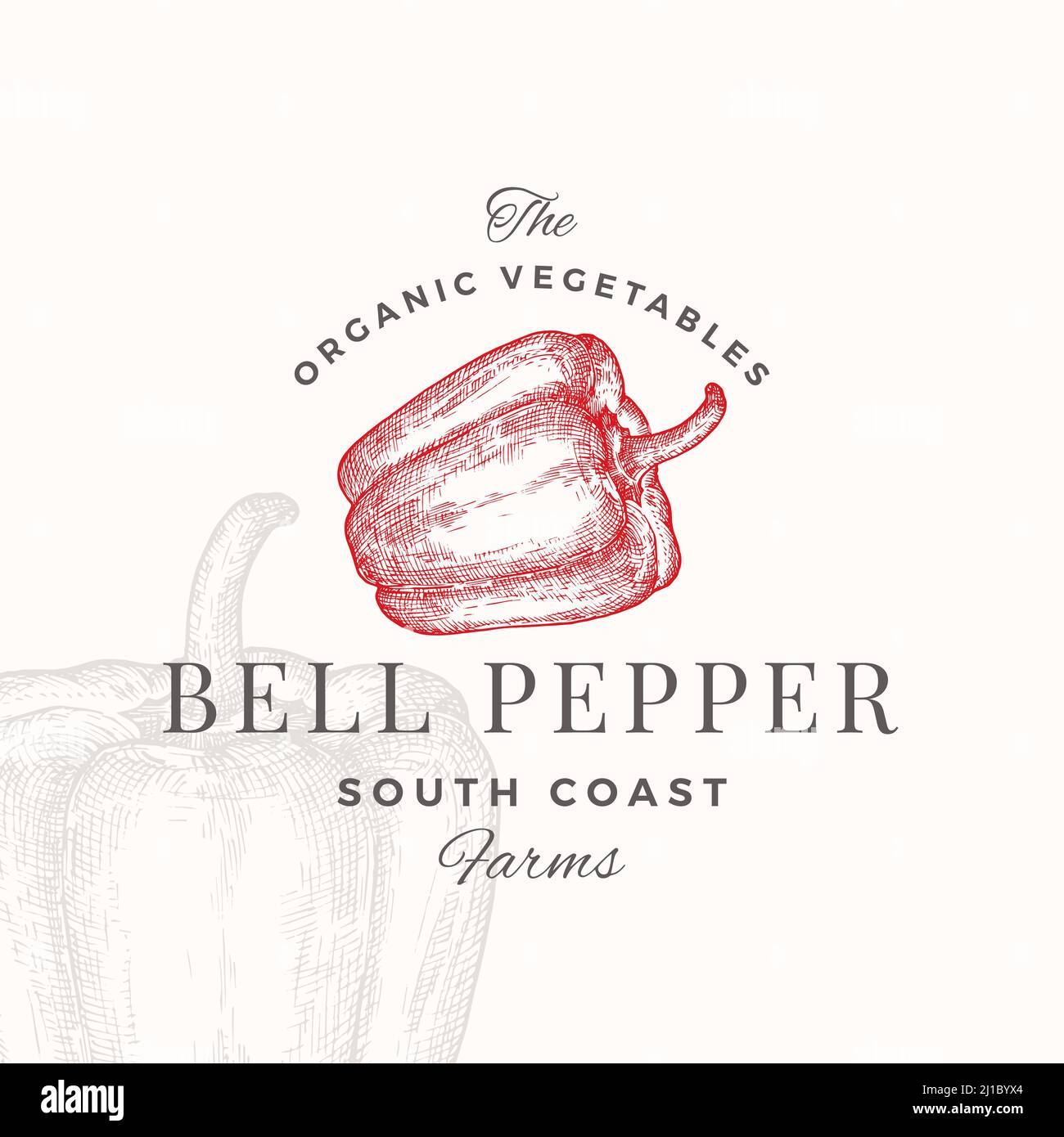 Bell Pepper Badge Logo Template. Hand Drawn Vegetable Sketch with Retro ...