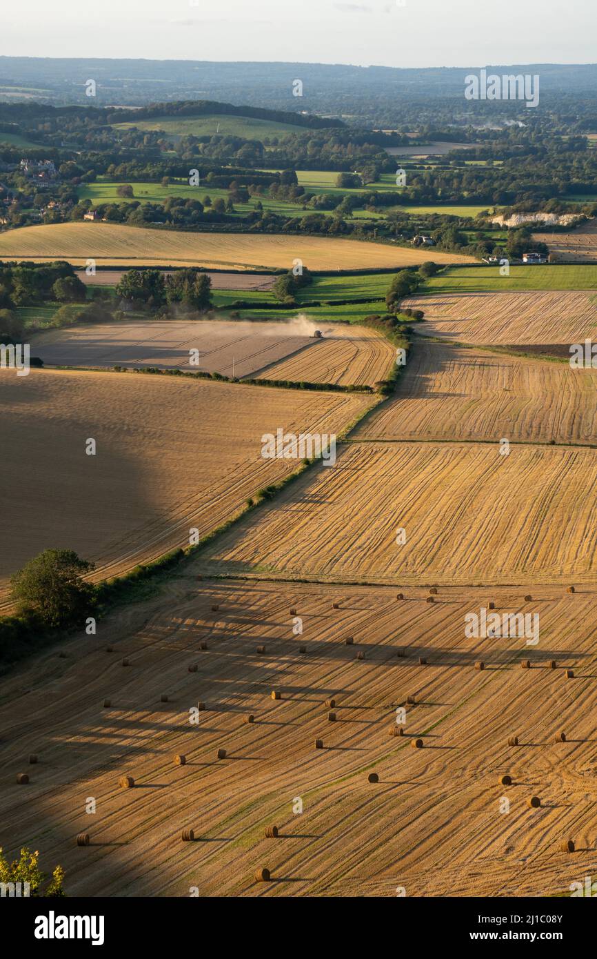 Tractor farming the fields of the South Downs while the sun shines ...