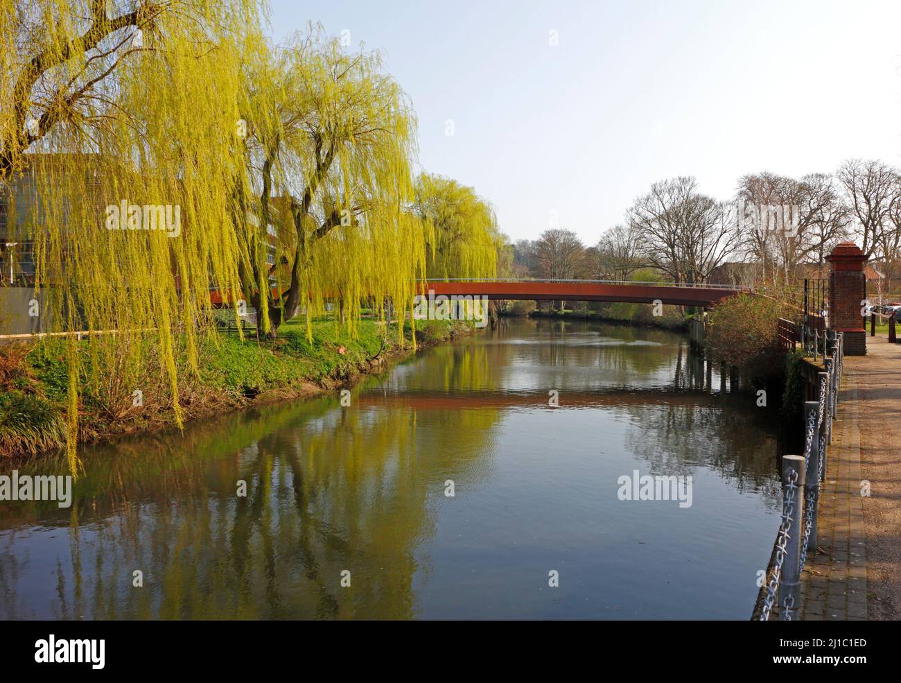 A view in spring of the Jarrold Bridge crossing the River Wensum by ...