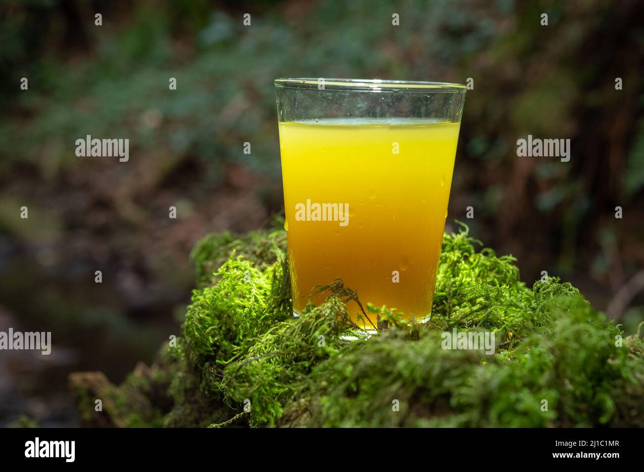 Brown coloured water sample from polluted stream from dairy farm Stock ...