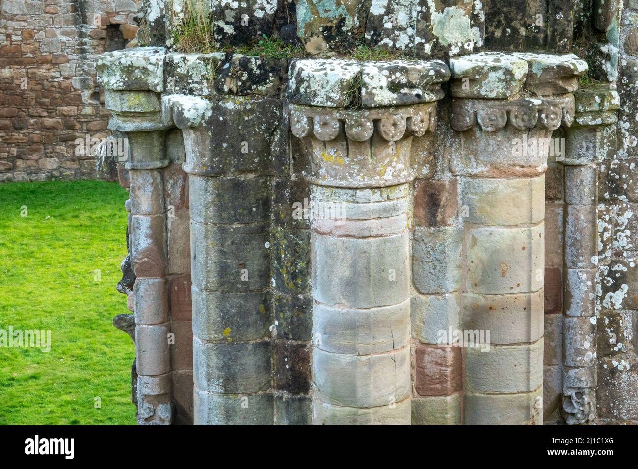 Columns and capitals hi-res stock photography and images - Alamy