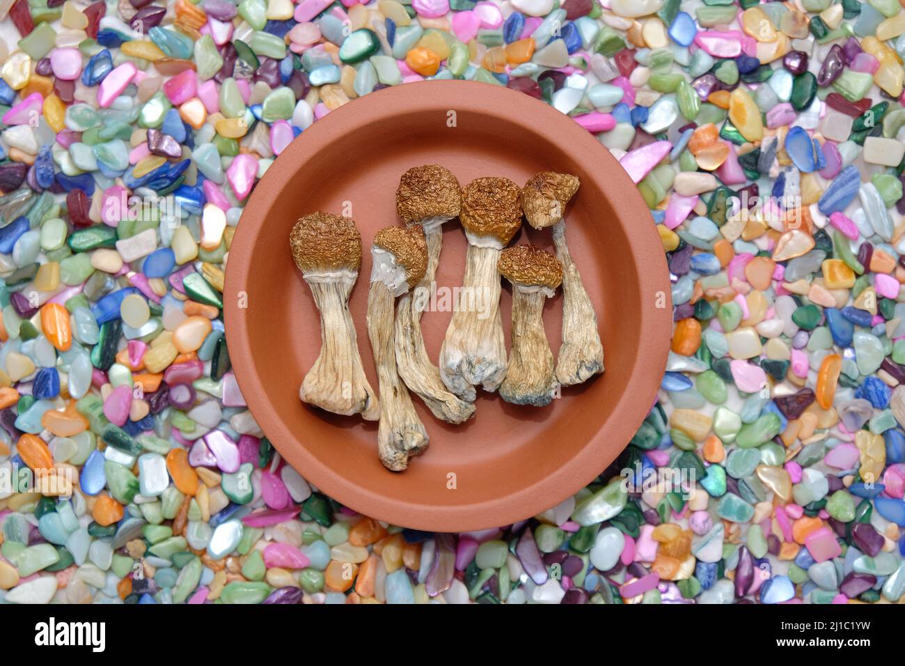 Psychedelic psilocybin mushrooms on white background, micro-dosing ...