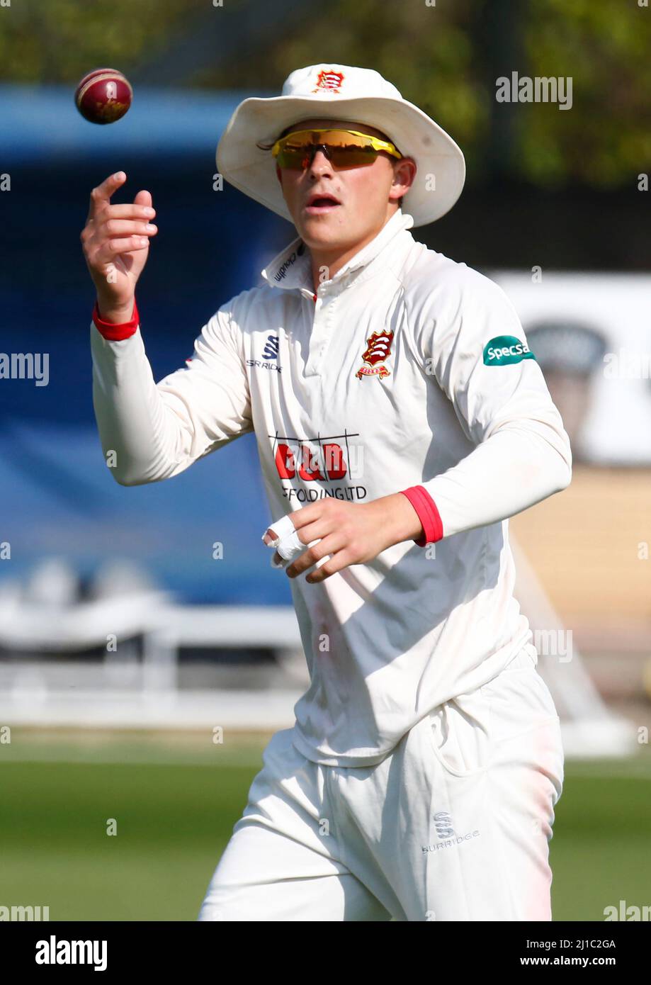 Michael pepper hi-res stock photography and images - Alamy