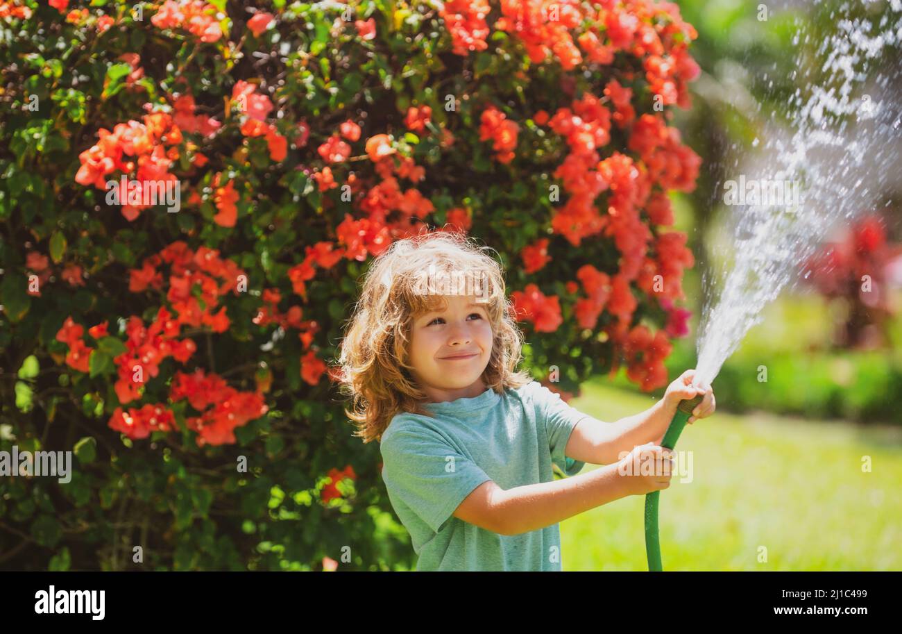 Child is watering the plant outside the house, concept of plant growing ...