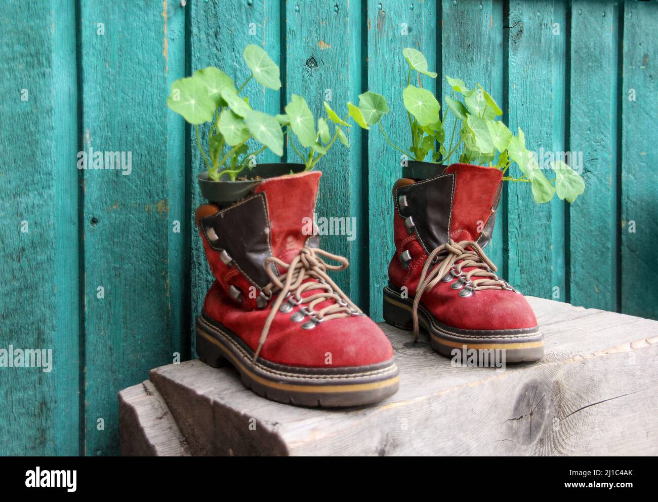 Shoes, flower pot hi-res stock photography and images - Alamy