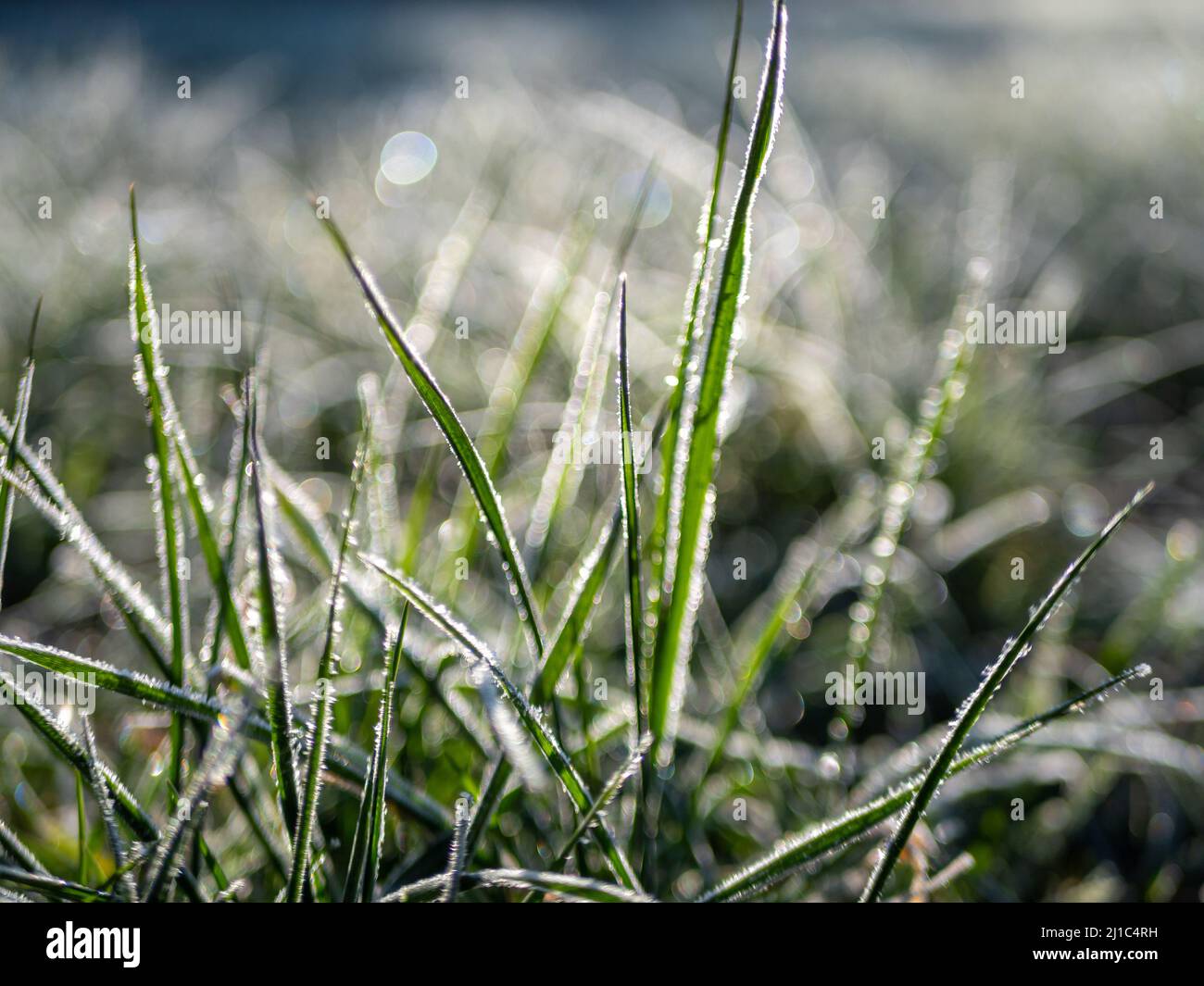Spring freezing temperatures hi-res stock photography and images - Alamy