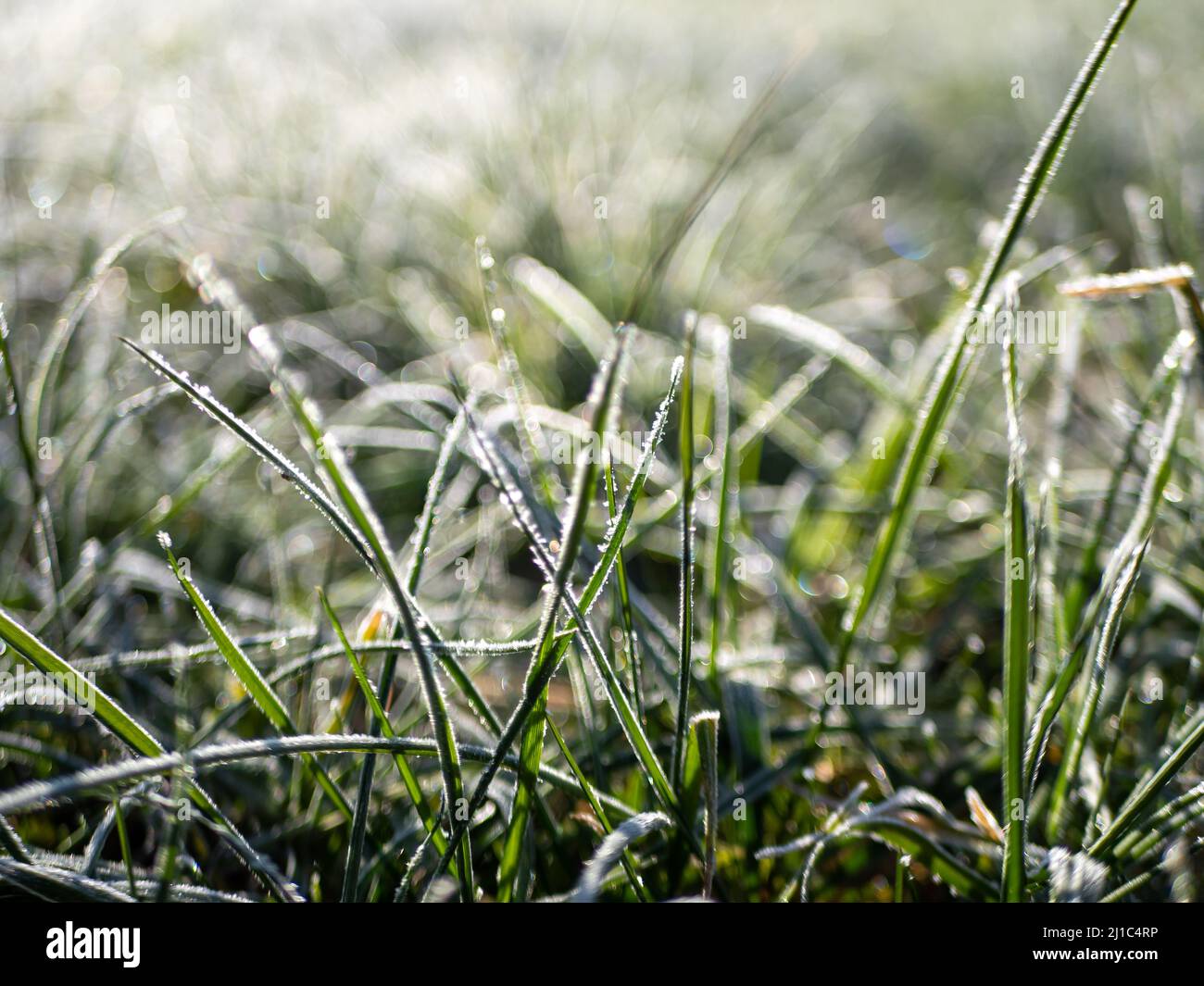 Spring freezing temperatures hi-res stock photography and images - Alamy