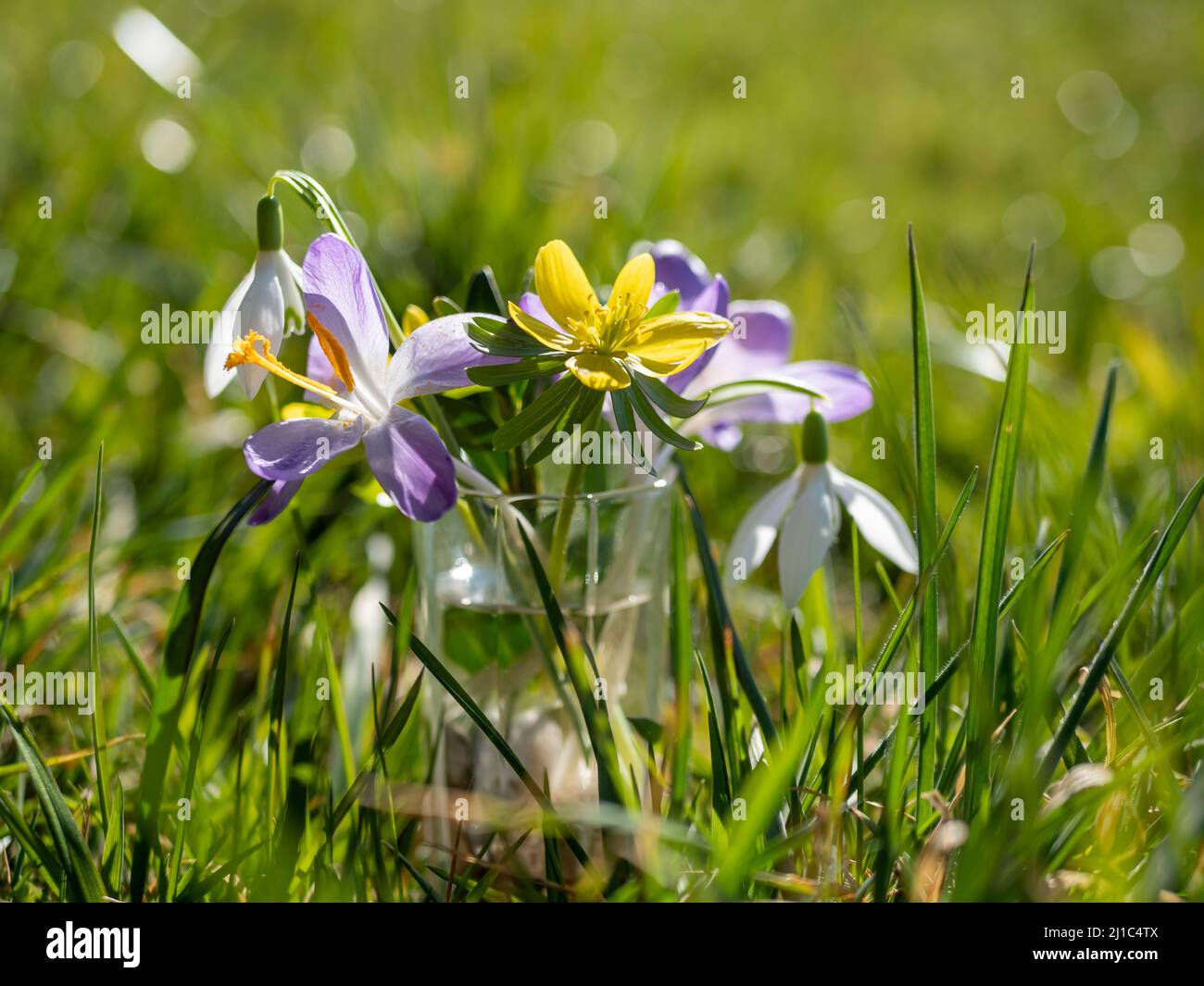 Beautiful spring white flowers hi-res stock photography and images - Alamy