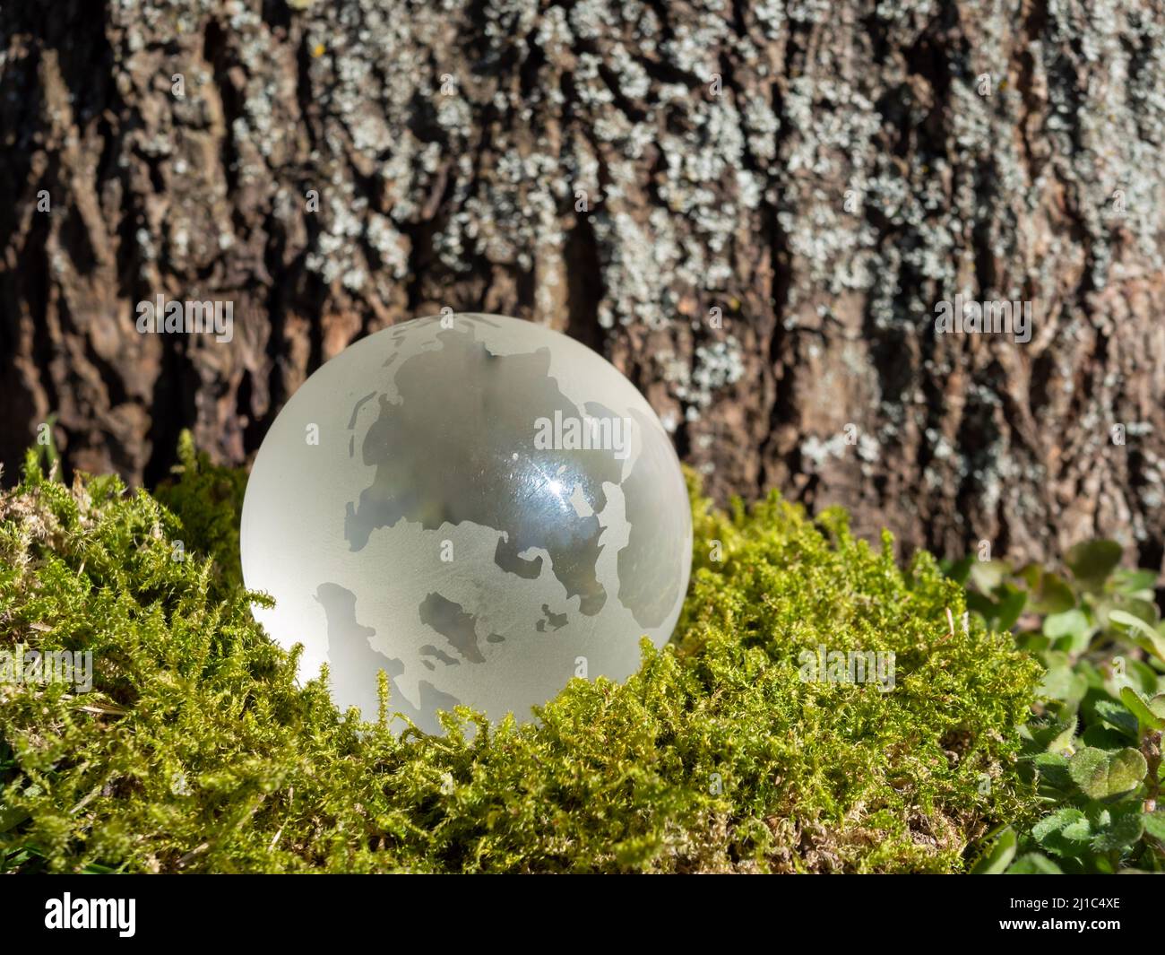World globe on moss symbolic background Stock Photo - Alamy