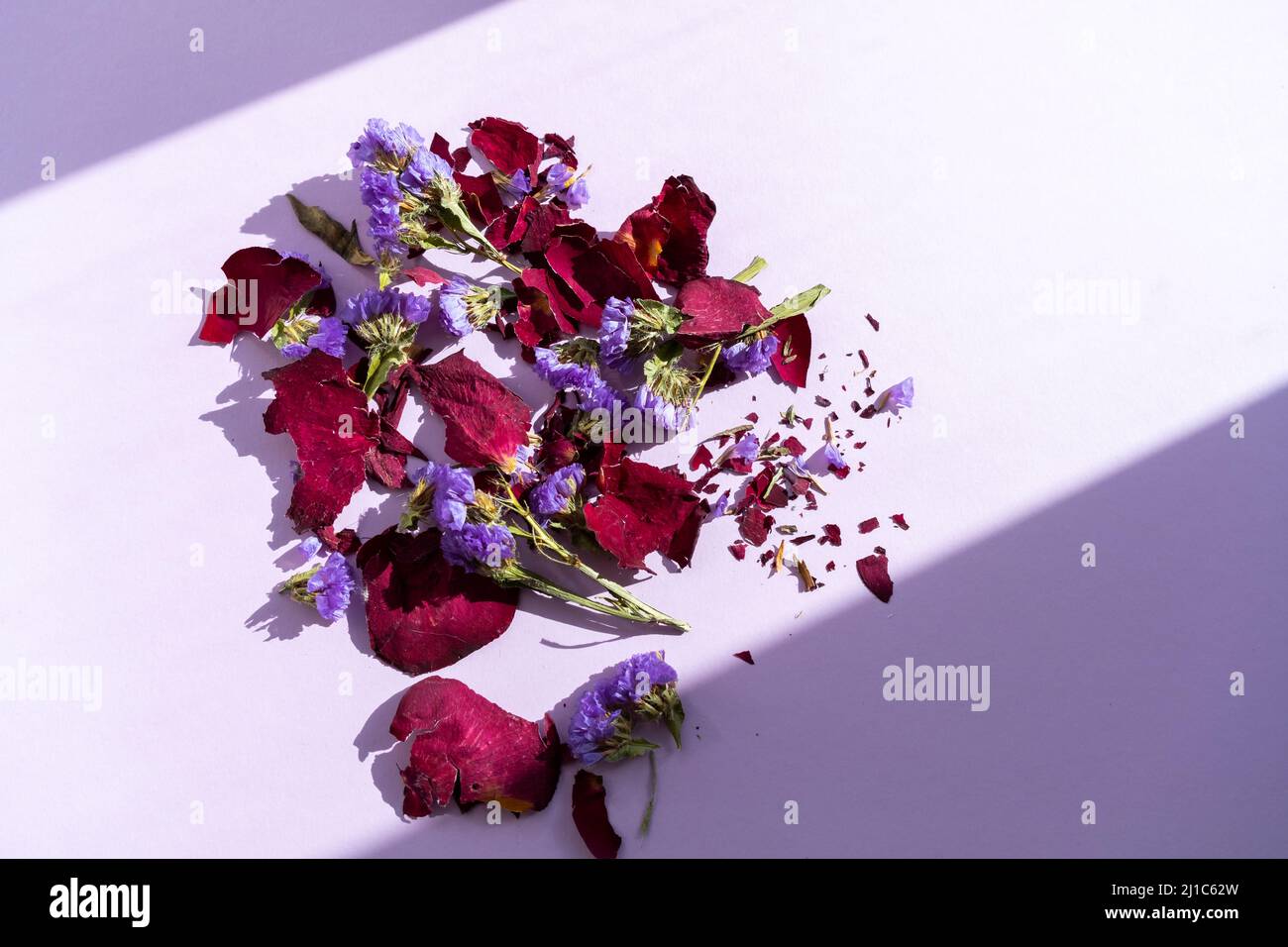 Dried blue flowers and rose petals on the purple background Stock Photo ...