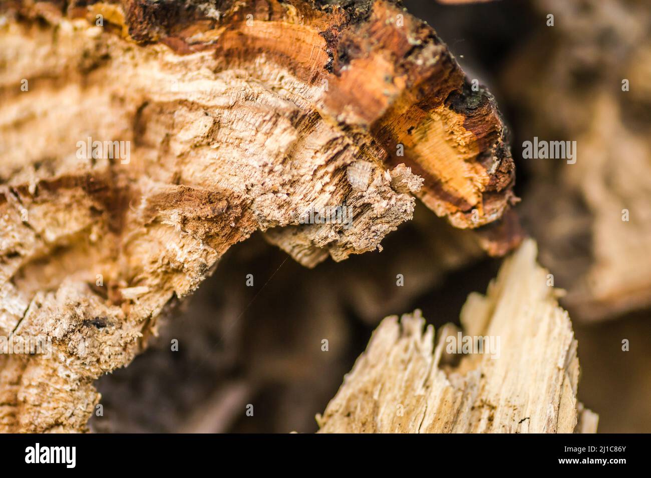 Prepared raw material hi-res stock photography and images - Alamy
