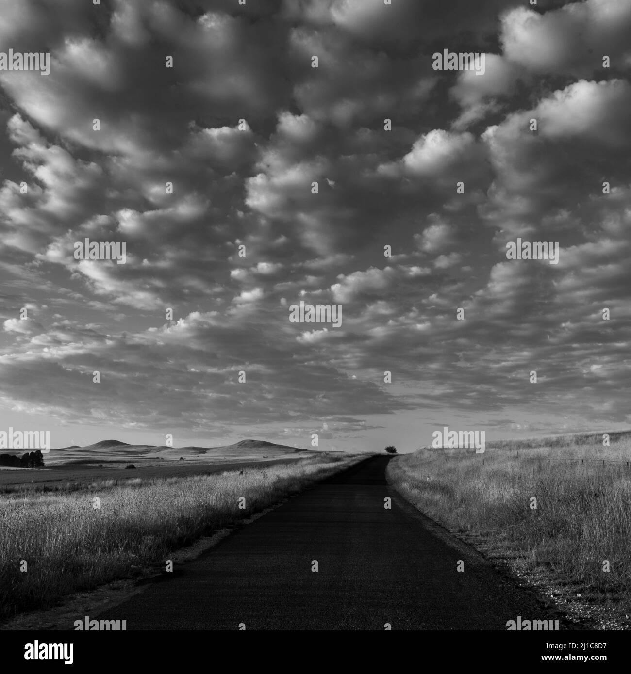 A grayscale of a sunrise over a road with cloudy sky in the background ...