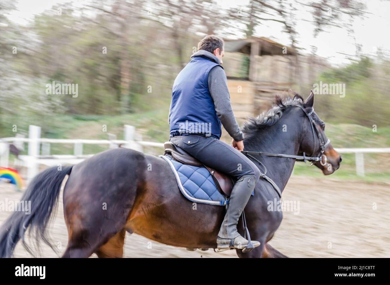 Novi Sad, Serbia - March 16, 2019: Horseman in training a horse ...