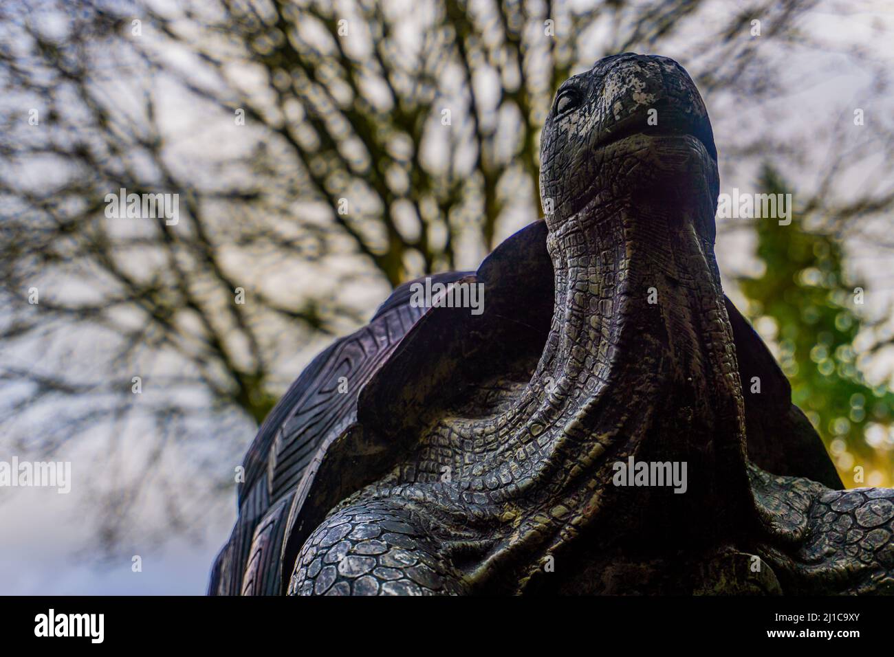 Sea turtle sculpture hi-res stock photography and images - Alamy