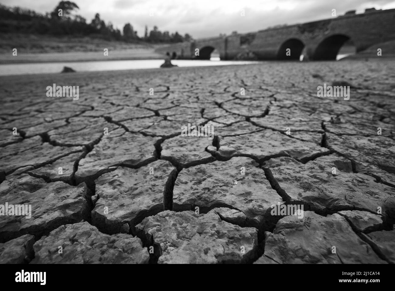 A closeup of a cracked stone ground texture in greyscale Stock Photo ...