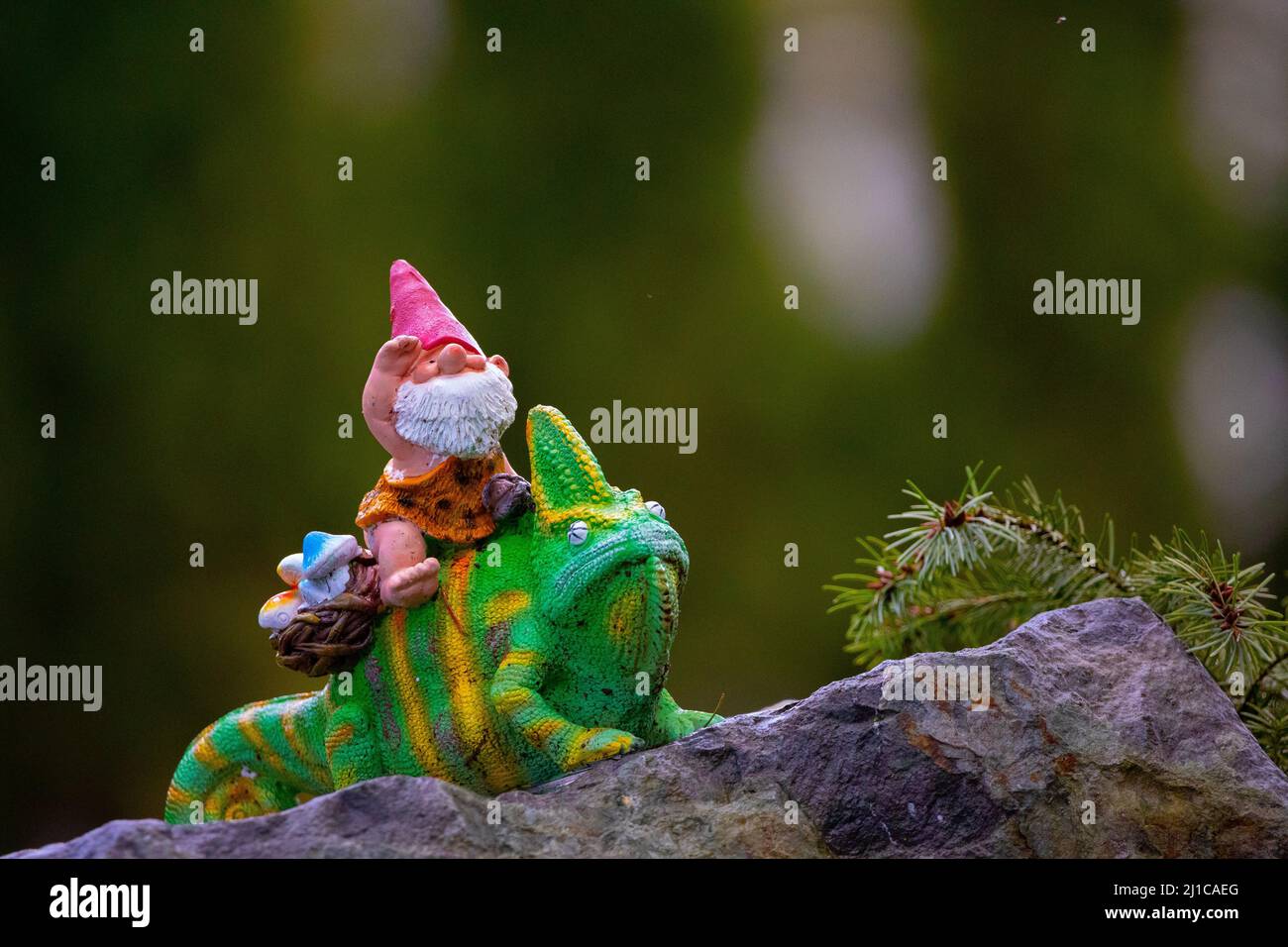 A gnome riding a lizard on top of a rock with a natural blurred green ...