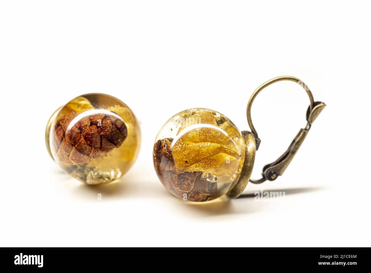 Preserved material Cut Out Stock Images & Pictures - Alamy