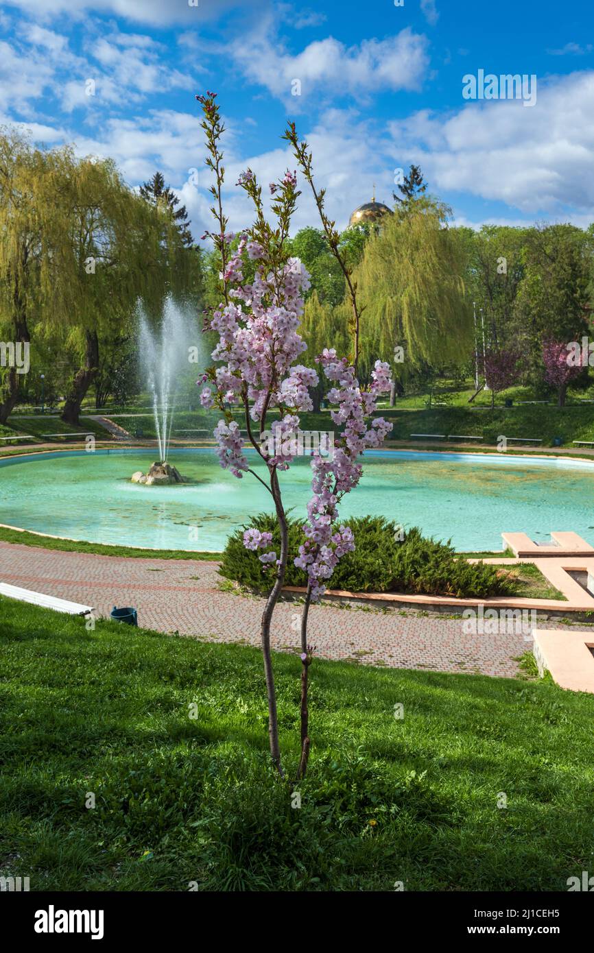 Kamianets-Podilskyi, Khmelnytsky region, Ukraine. Beautiful spring city ...