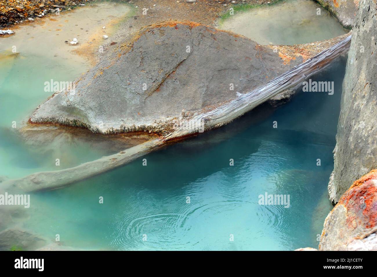 Hot spring glows aqua blue in Hurricane Vent, in Norris Geyser Basin ...