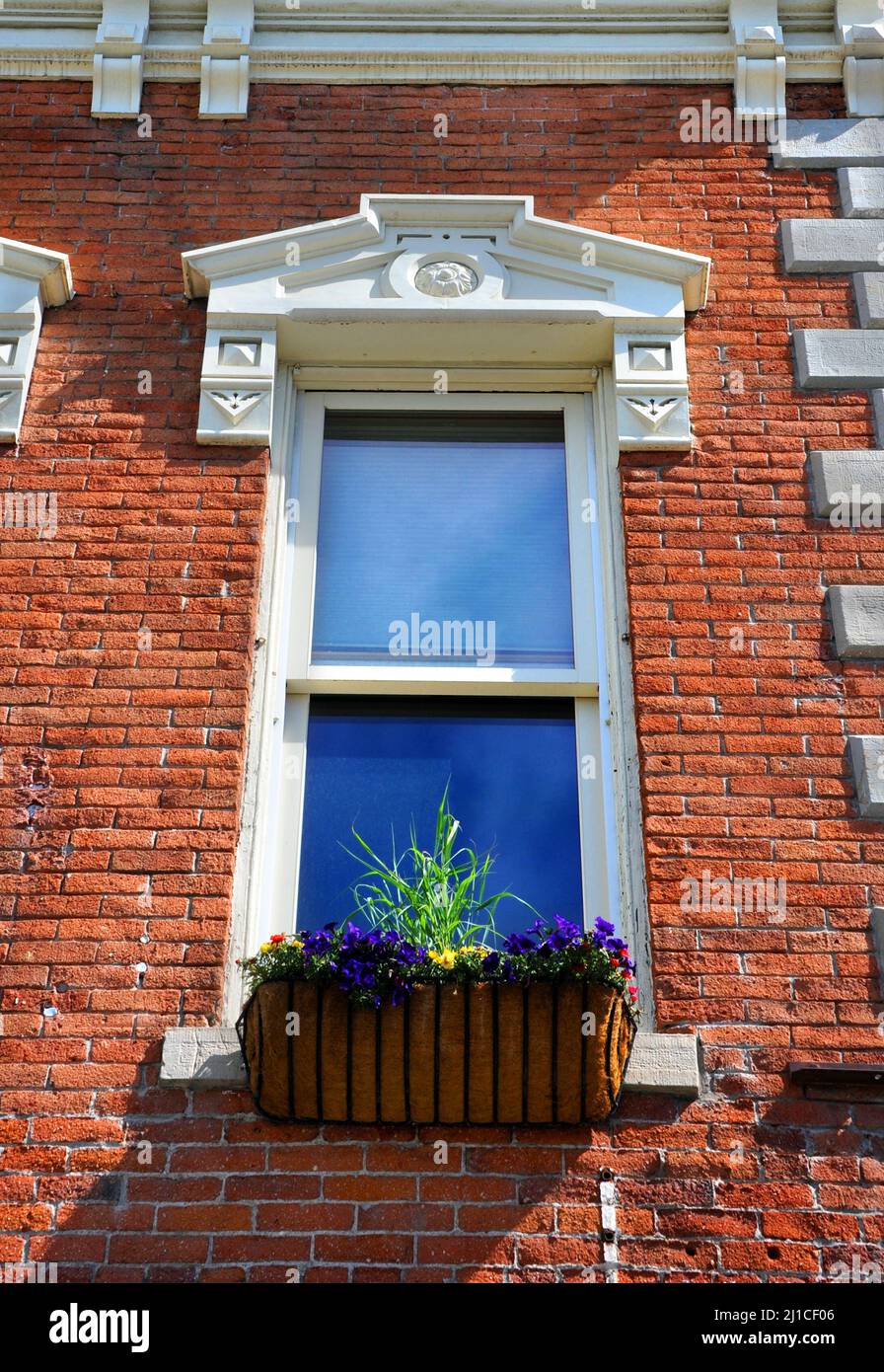 Elegant architecture enhances this window and flower box, in Bozeman ...