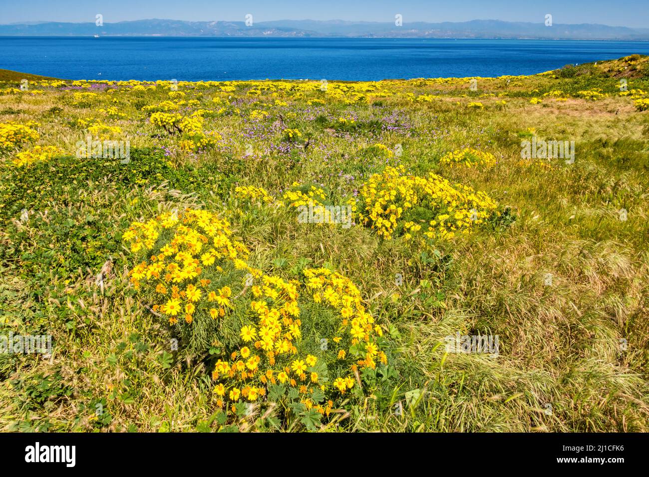 Channel island national park hi-res stock photography and images - Alamy