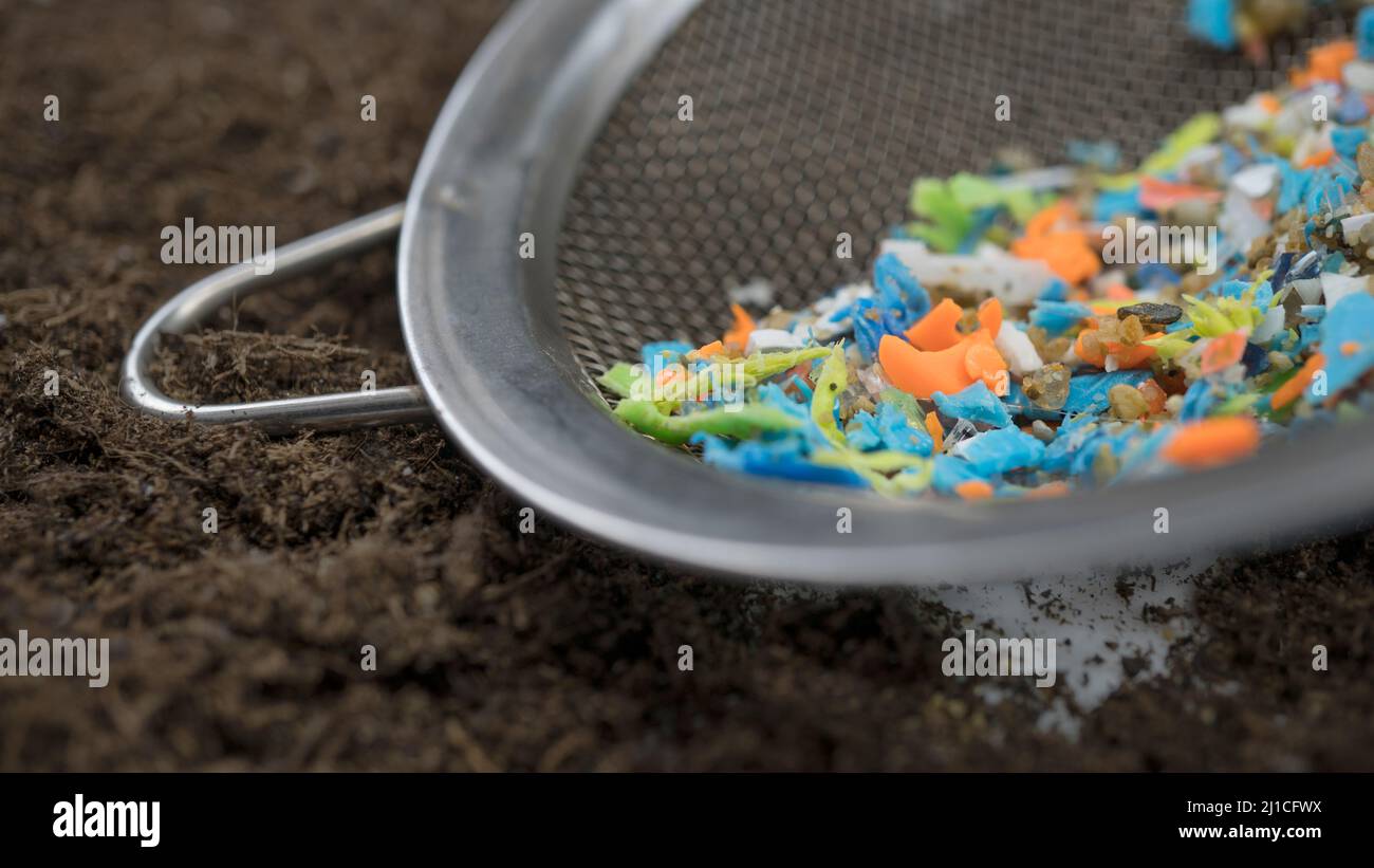 Microplastics hand-picked with a steel sieve from the agriculture field ...