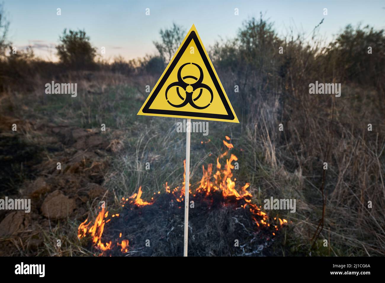 Burning dry grass and biohazard sign. Yellow triangle with biohazard ...