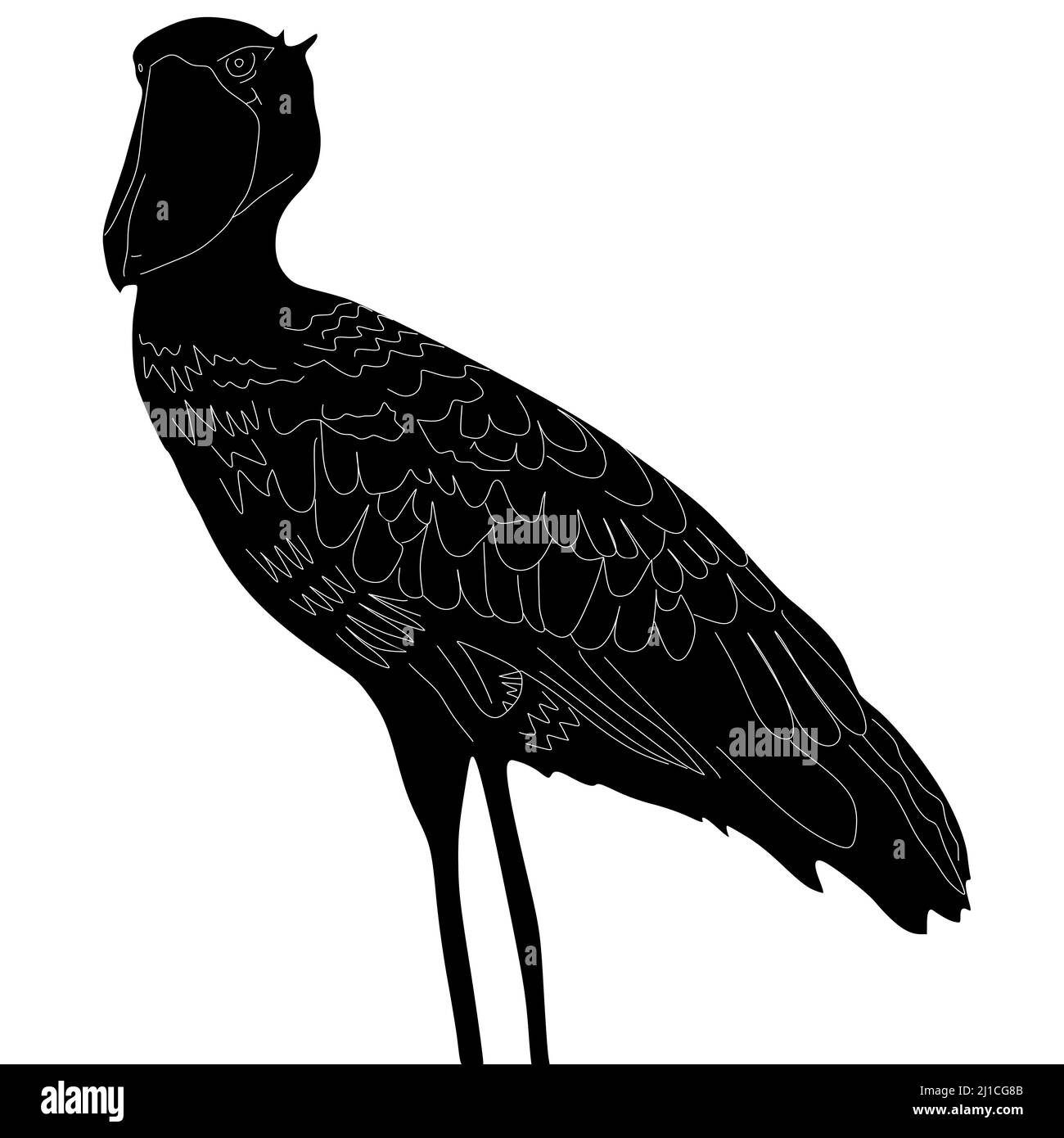 Big pelican Black and White Stock Photos & Images - Alamy