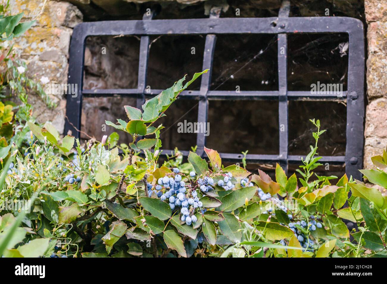 A window with metal bars of the underground gallery in the upper part ...