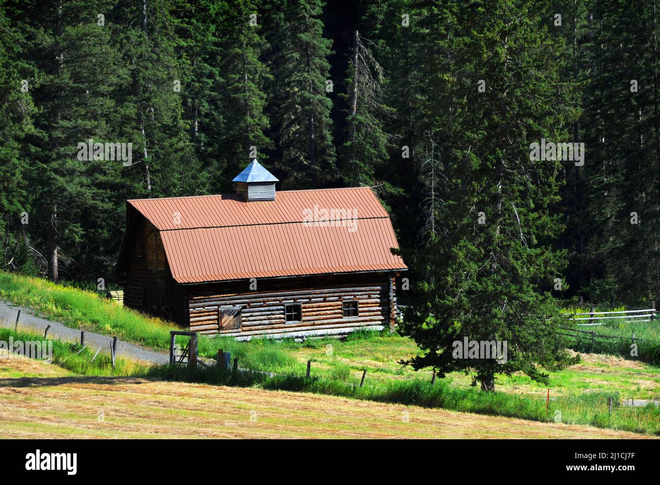 Old log barn has been restored by adding a new tin roof. Barn sits in ...