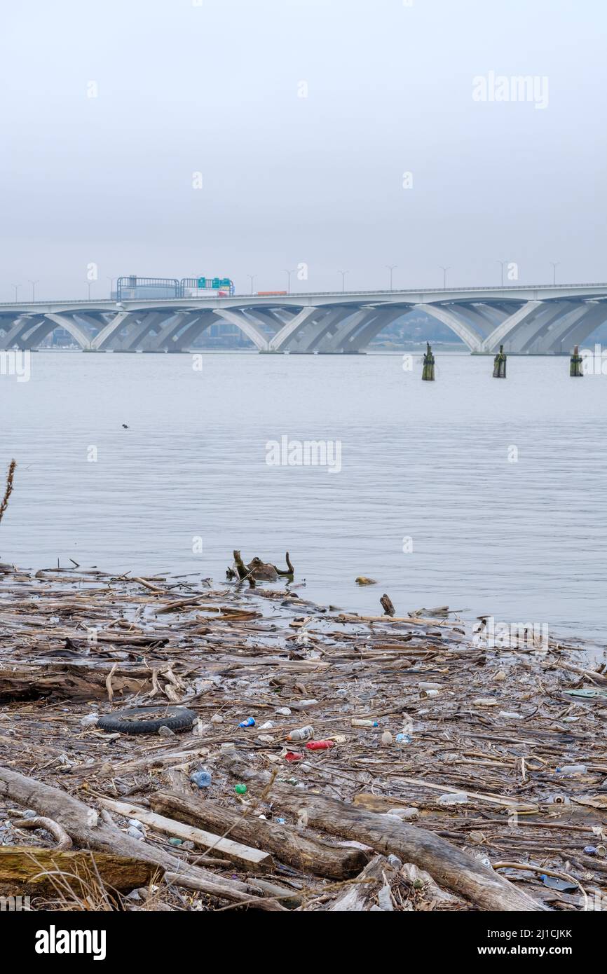 Polluted River and Trash: Potomac River, Alexandria, VA, US Stock Photo ...
