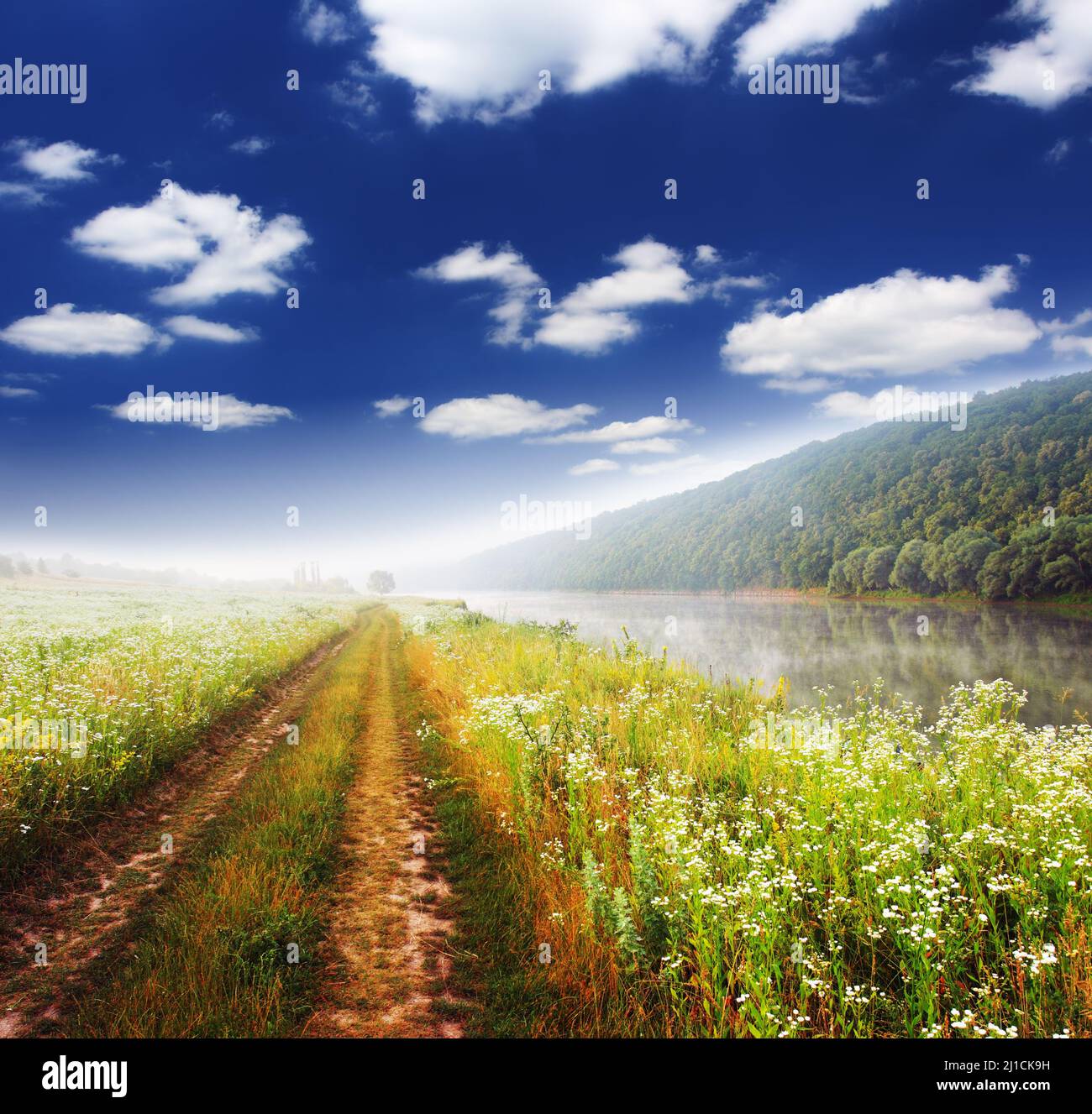 River landscape botany hi-res stock photography and images - Alamy