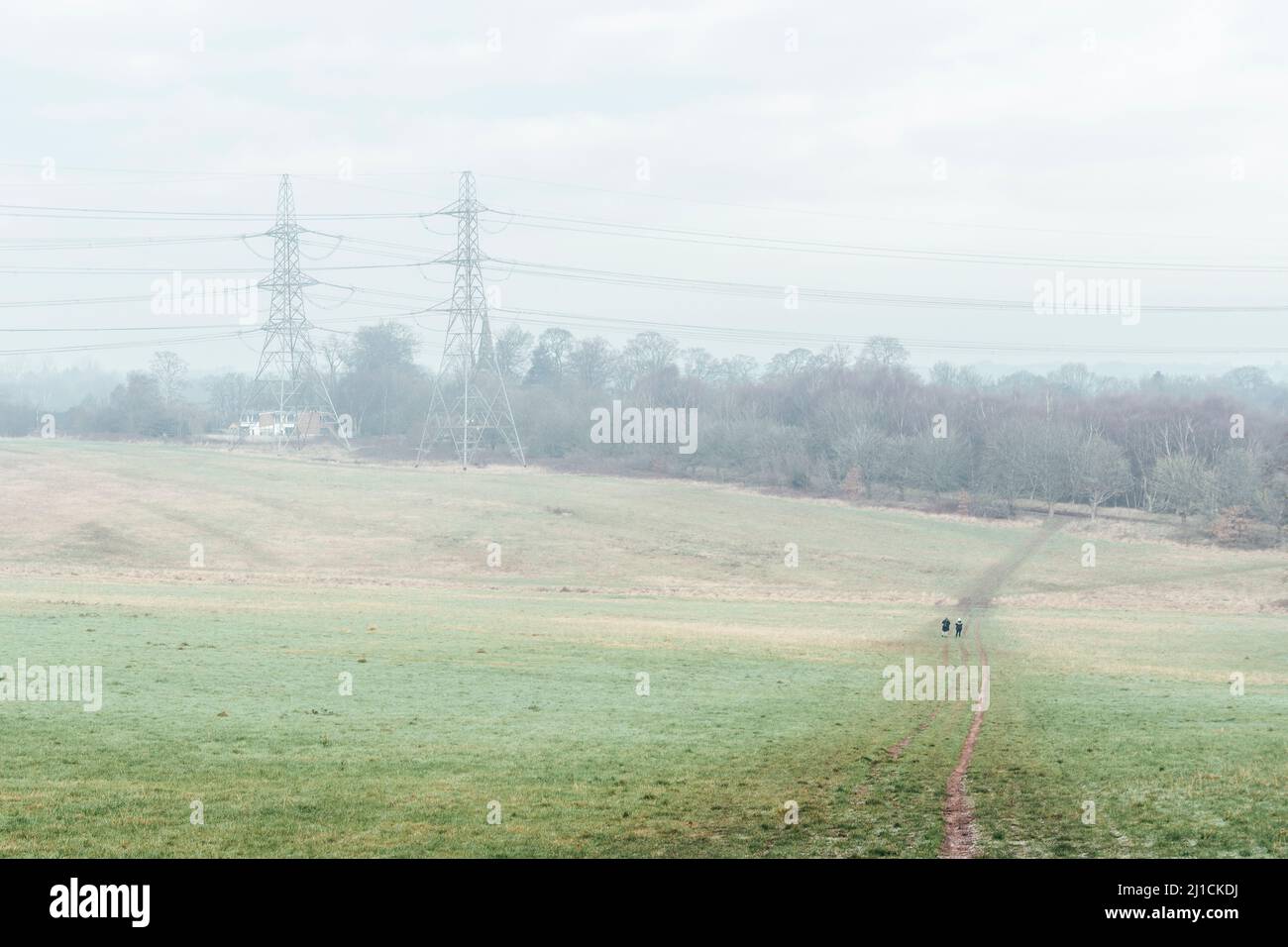 Common Land on the old Great Barr Hall estate at Great Barr, West ...
