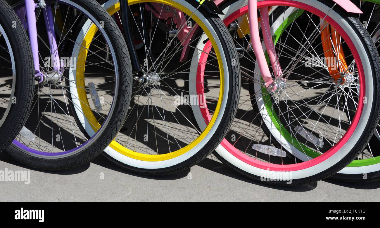 Background image shows a group of colorful bicycles. Bikes are for rent ...