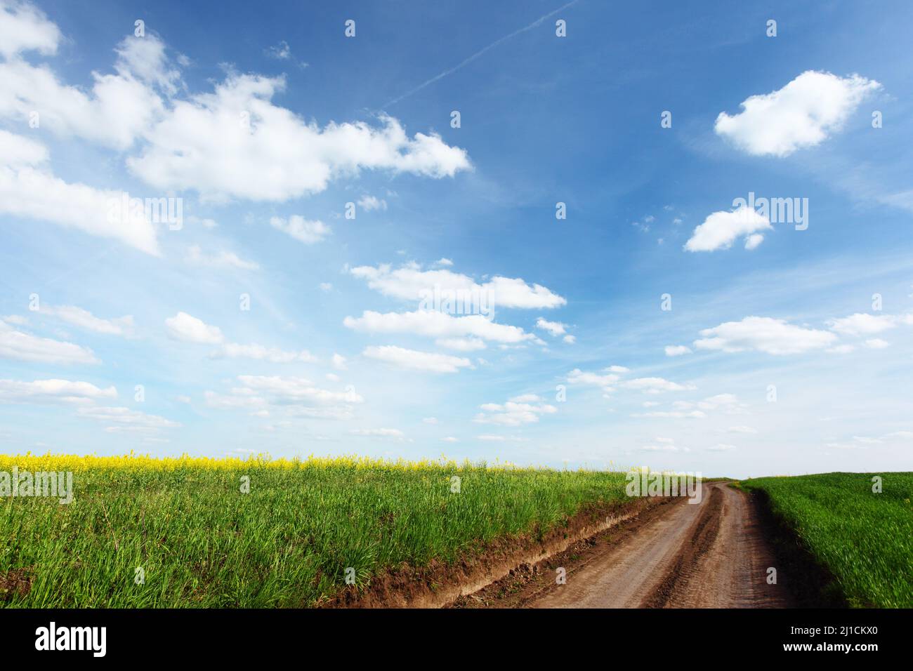 Beautiful spring field with a green grass and the beautiful sky Stock ...