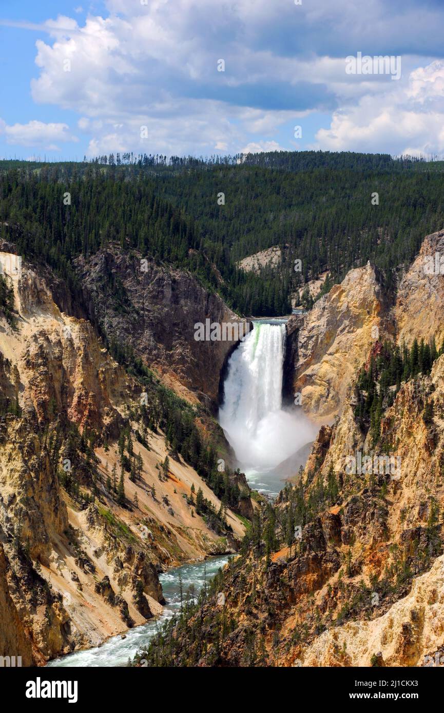 Upper Falls view of the Grand Canyon of the Yellowstone in Yellowstone National Park. Large ...