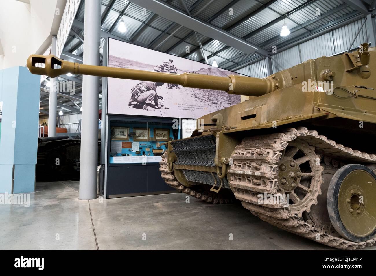 Tiger 131 hi-res stock photography and images - Alamy