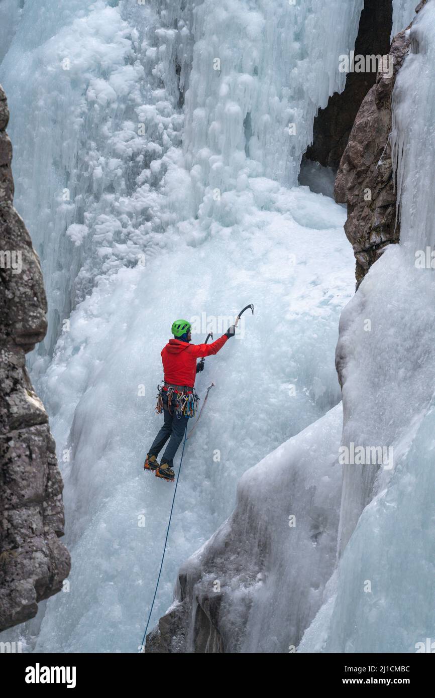 A male ice climber lead climbs an ice wall 160' high using ice axes and ...