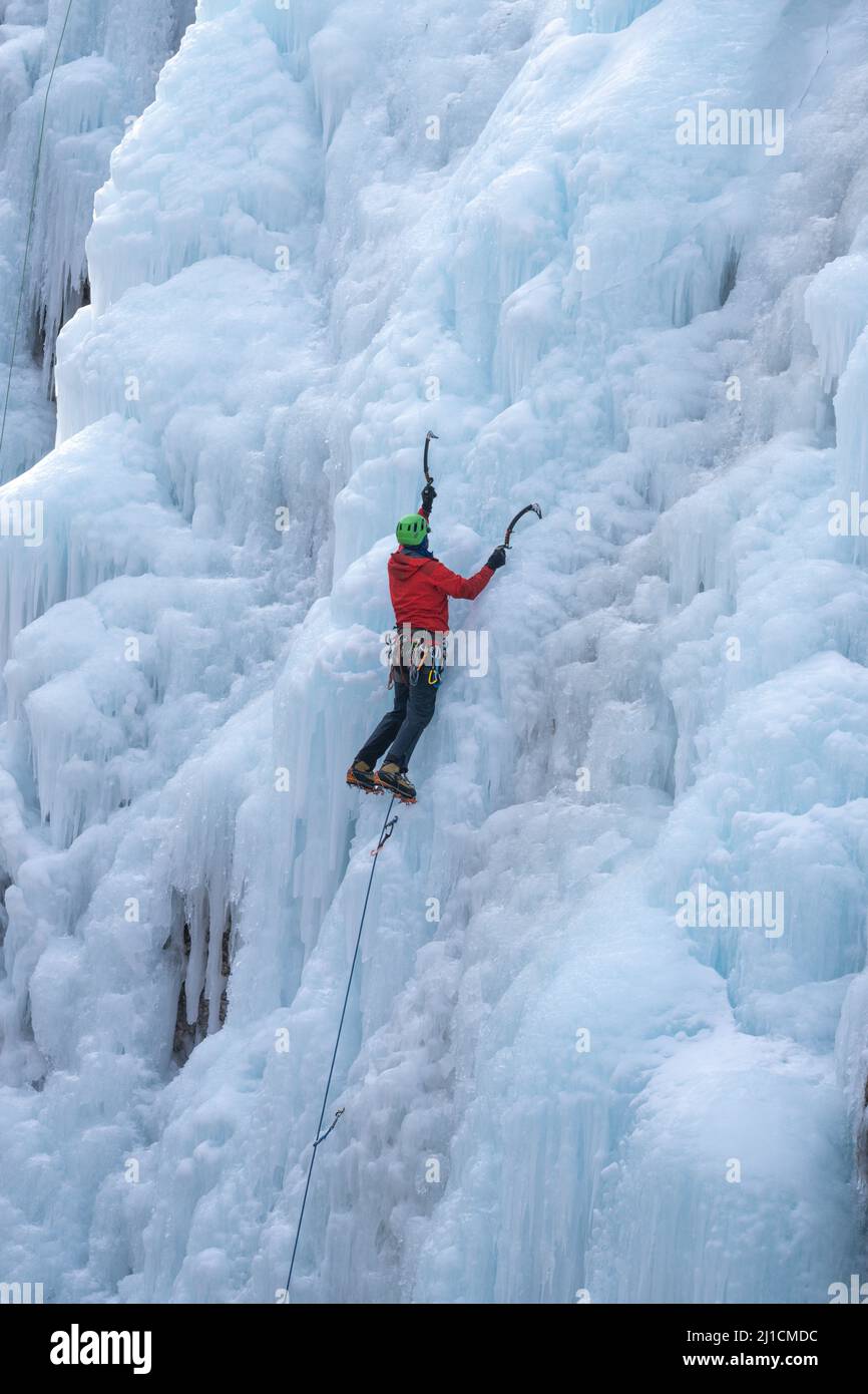 A male ice climber lead climbs an ice wall 160' high using ice axes and ...