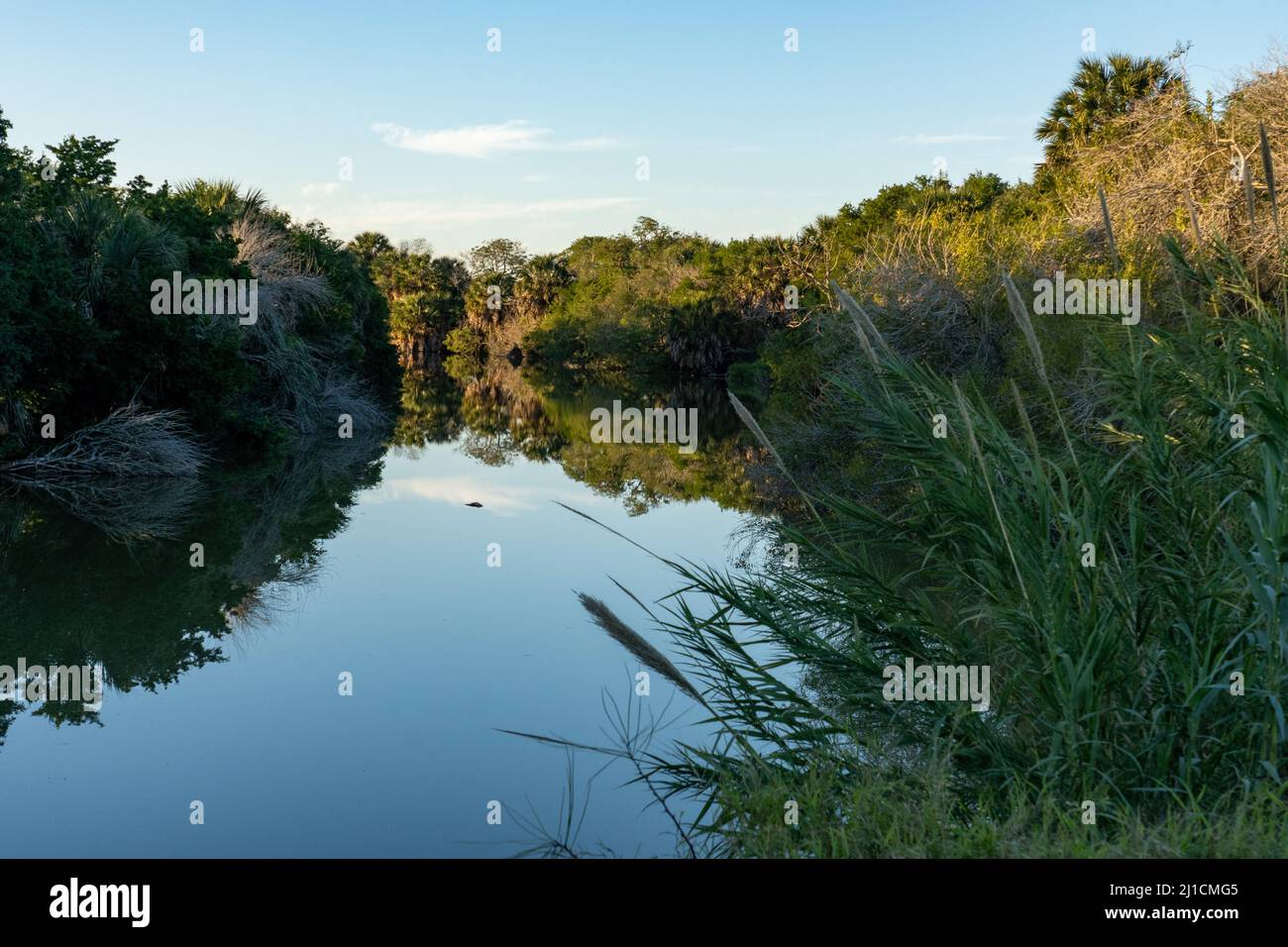 A resaca or oxbow lake that was once part of the Rio Grande River, near ...